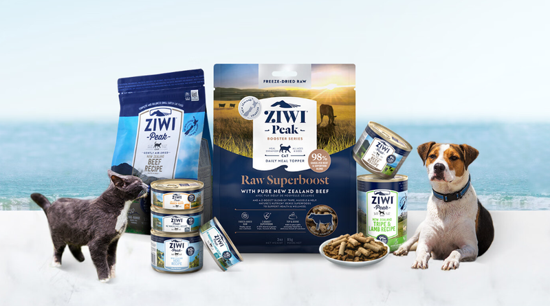 宠物市场成熟前夜，总代理制度或将集体生变-蓝鲸财经